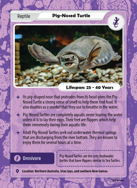 Gaiaton | Collectible Trading Cards | Animal TCG