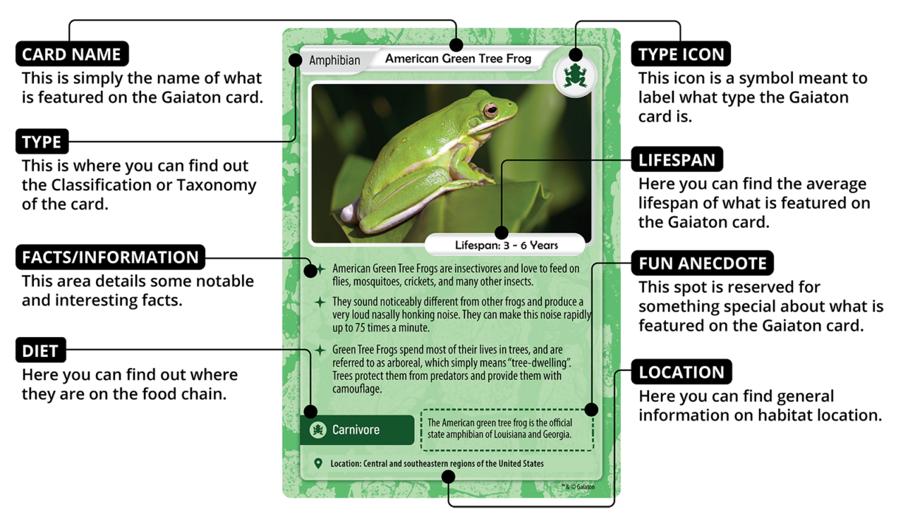 Gaiaton | Collectible Trading Cards | Animal TCG